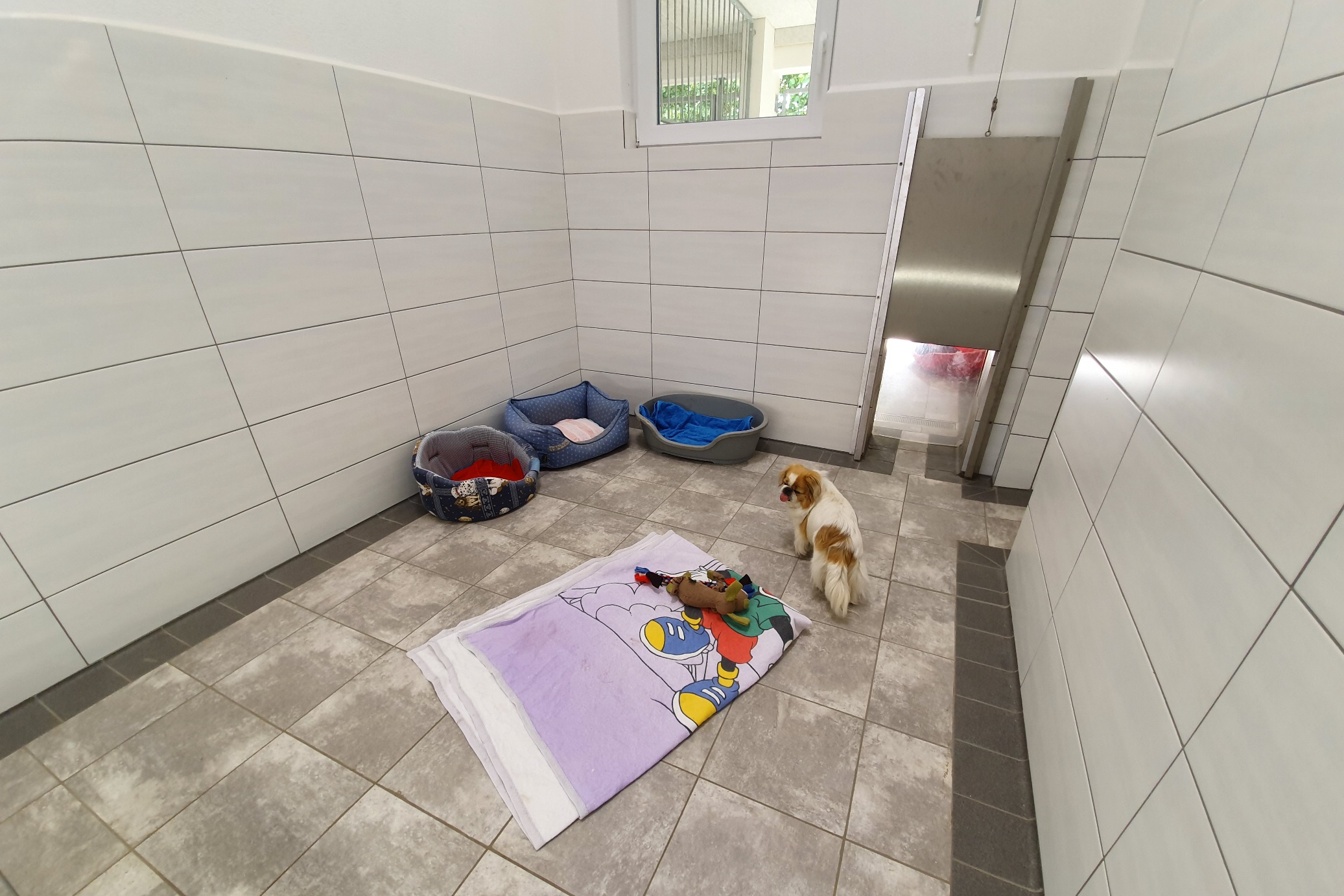 Das Tierheim Sulzbach